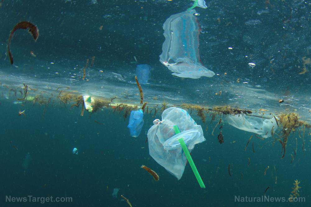 Single-use plastics from Asian ships have been piling up on a remote ...